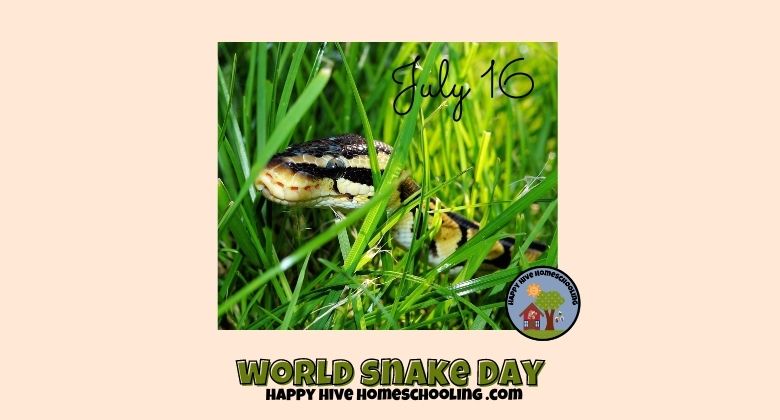 World Snake Day - Happy Hive Homeschooling